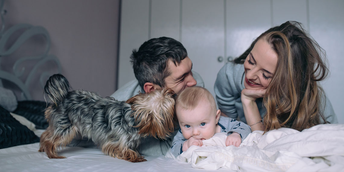 Ivf With Donor Sperm North Cyprus Ivf